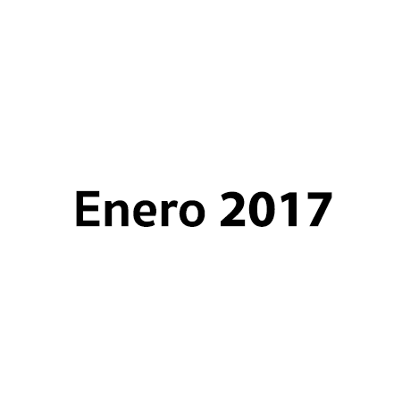 Enero - 2017 - Visión Digital