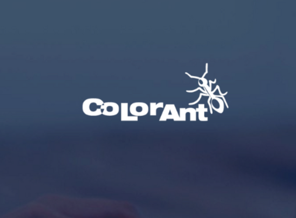 ColorLogic lanza ColorAnt 11 - Visión Digital